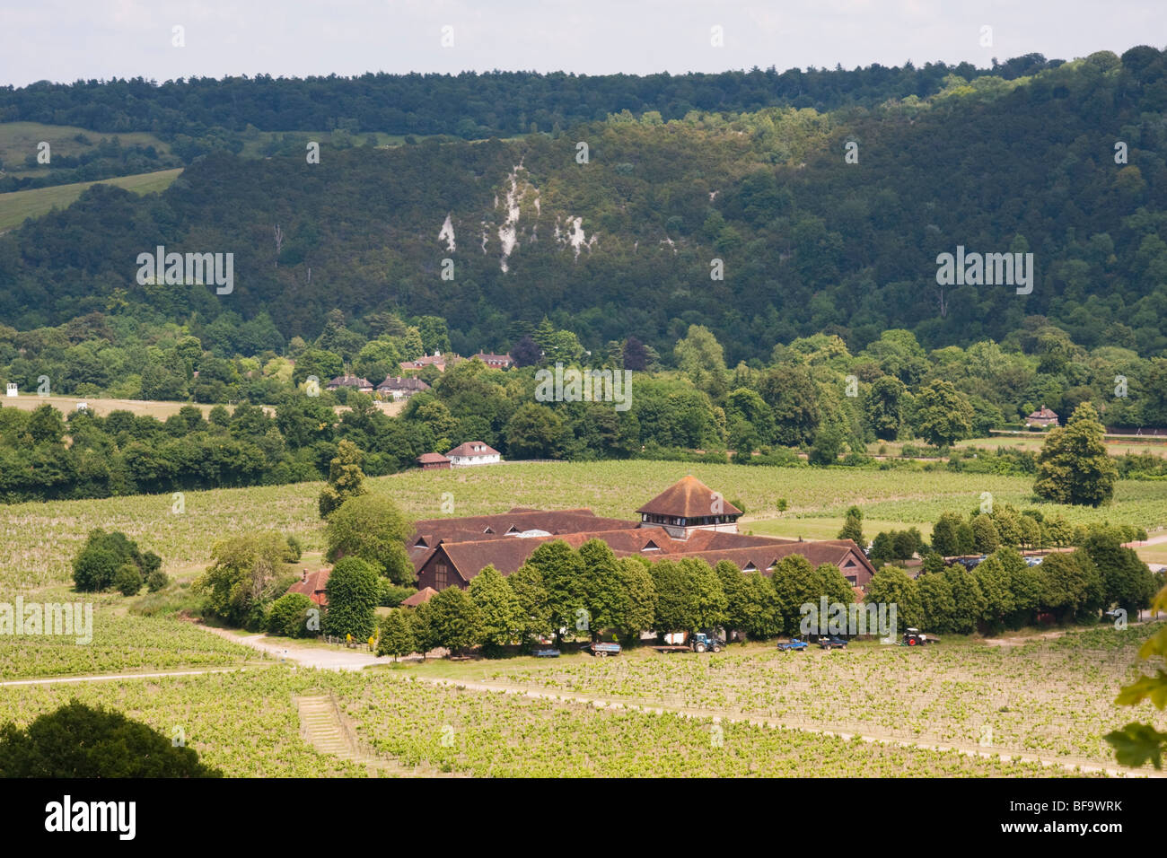 Denbies dorking hi-res stock photography and images - Alamy