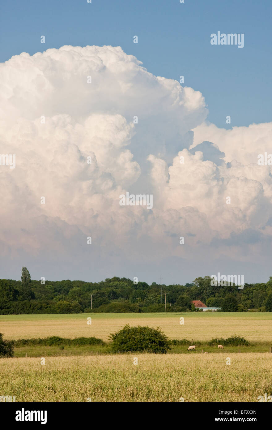 Views along Downs Link Cycle path in Sussex Stock Photo - Alamy