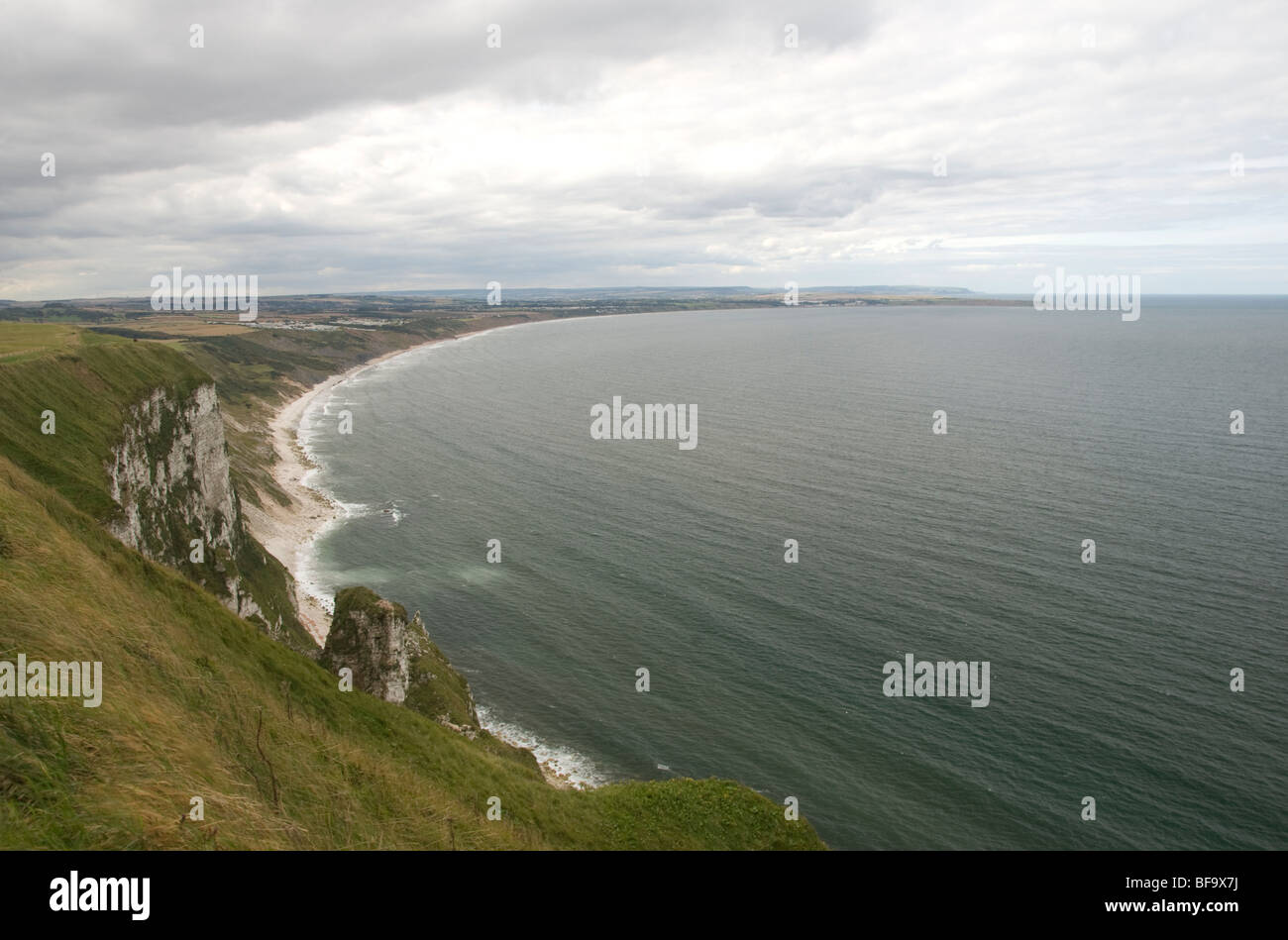 Filey Bay from wind swept Speeton Hills Stock Photo - Alamy