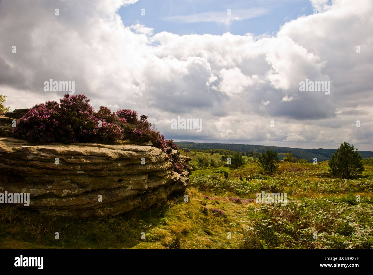 Bridestone. One of the rock formations that make up the Bridestones ...