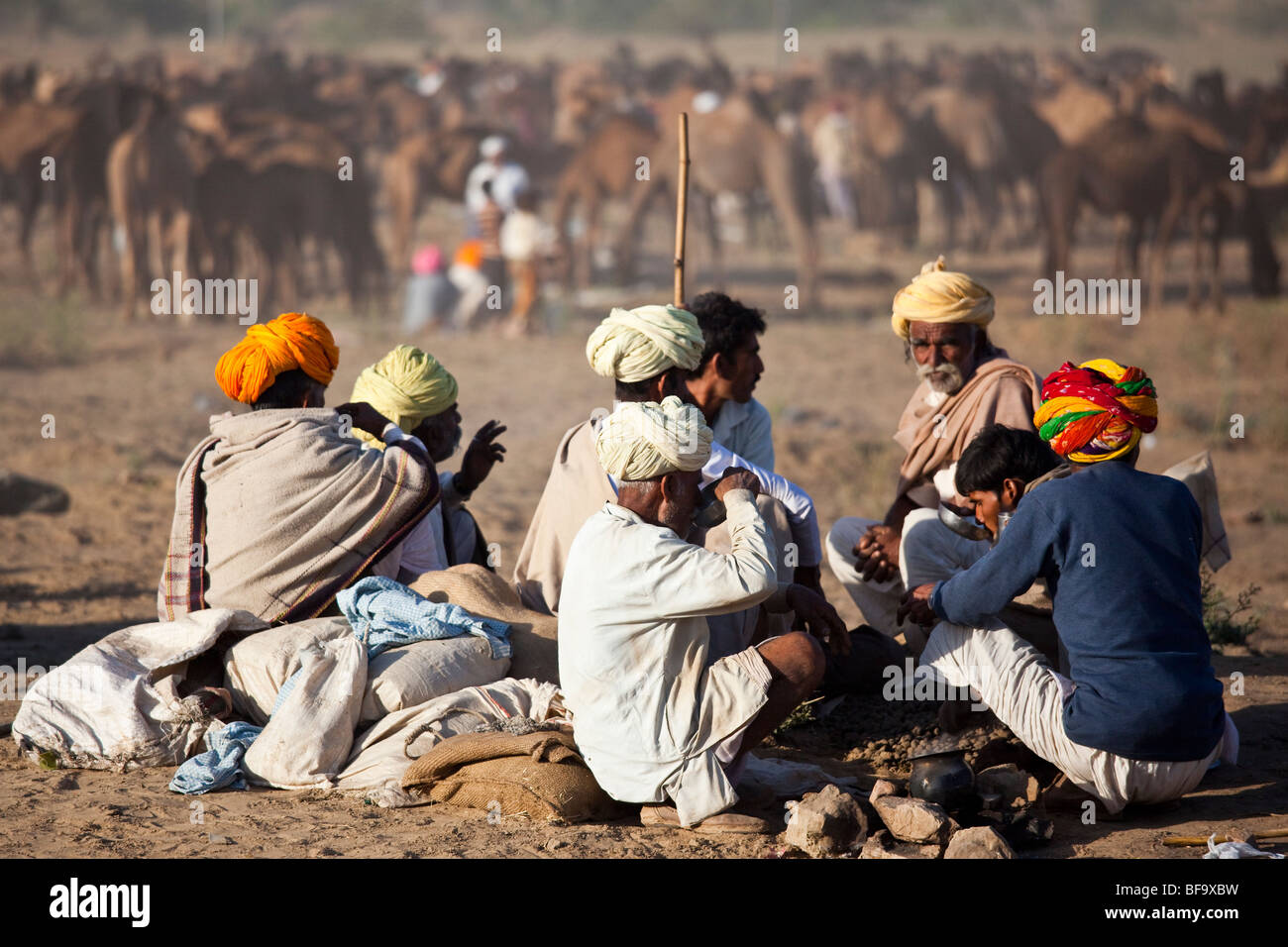 Animal camel fair faire festival india indian man mela people hi-res ...