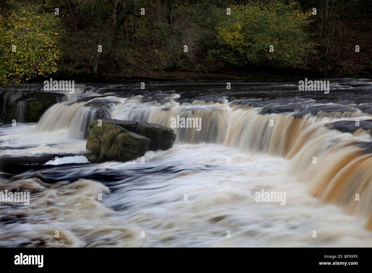 Aysgarth Falls, Yorkshire Dales National Park Stock Photo - Alamy