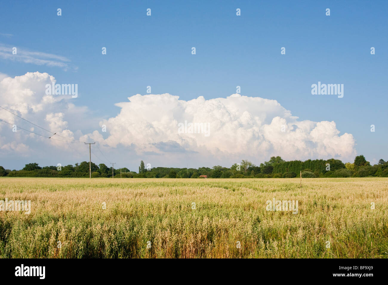 Views along Downs Link Cycle path in Sussex Stock Photo - Alamy