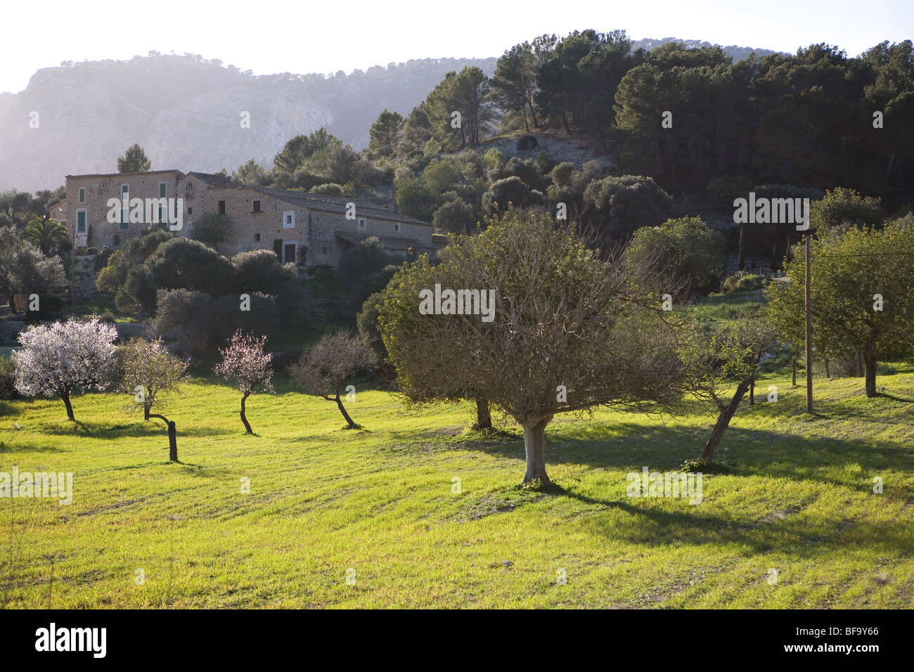 Stone House Spain Countryside High Resolution Stock Photography and ...