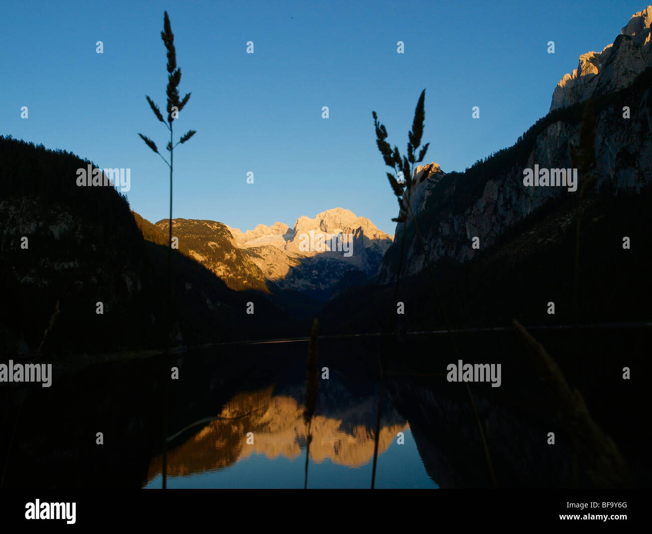 lake Gosausee, mountain Dachstein, Austria Stock Photo - Alamy