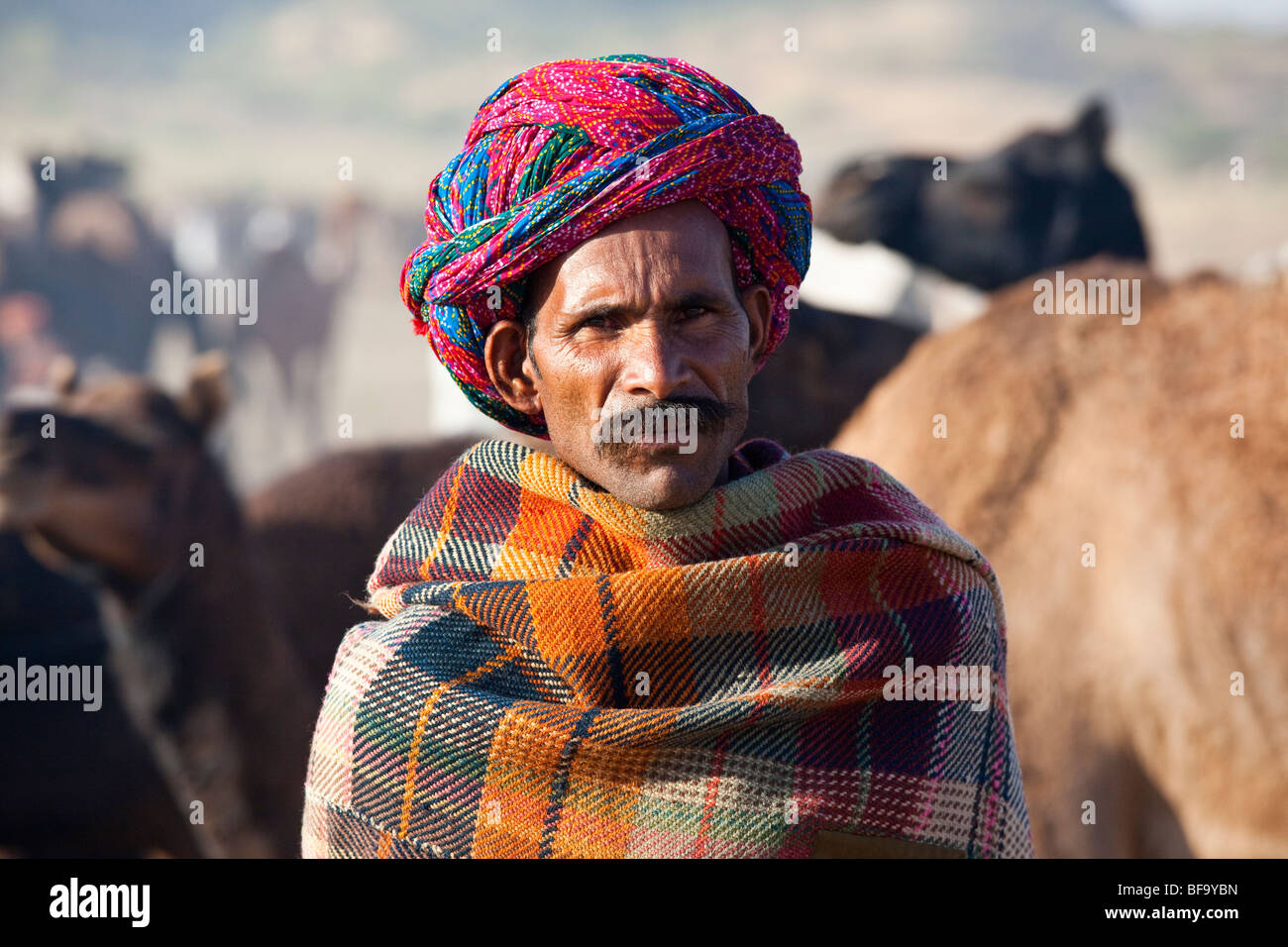 Rajput man and camels at the Camel Fair in Pushkar India Stock Photo ...