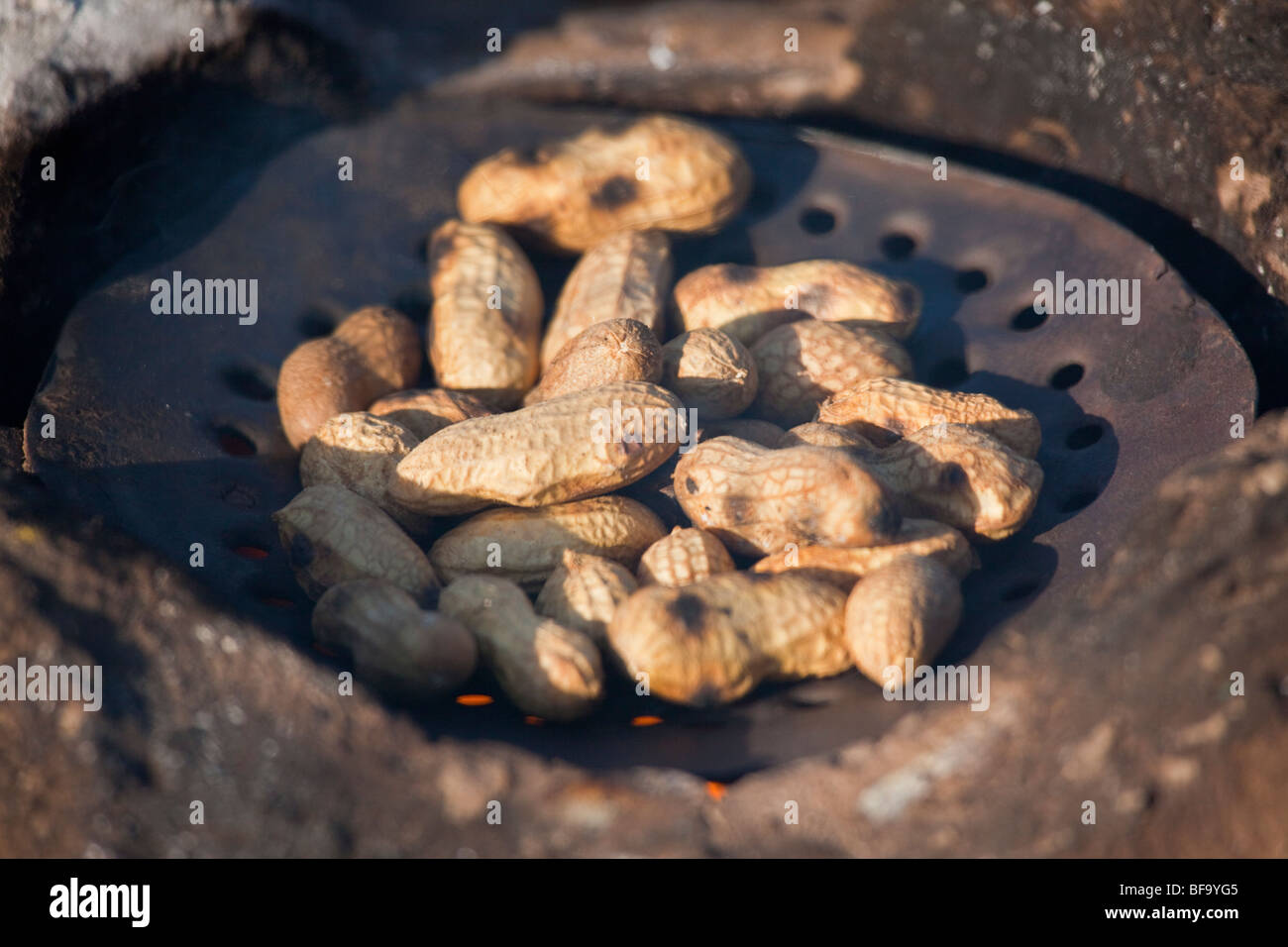 Peanuts Roasting on a fire at the Camel Fair in Pushkar India Stock ...