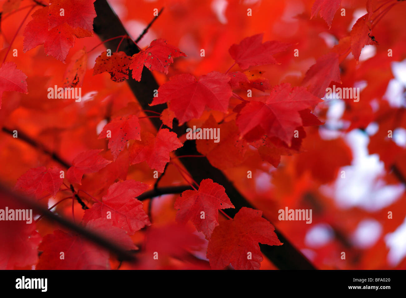 Turning color hi-res stock photography and images - Alamy
