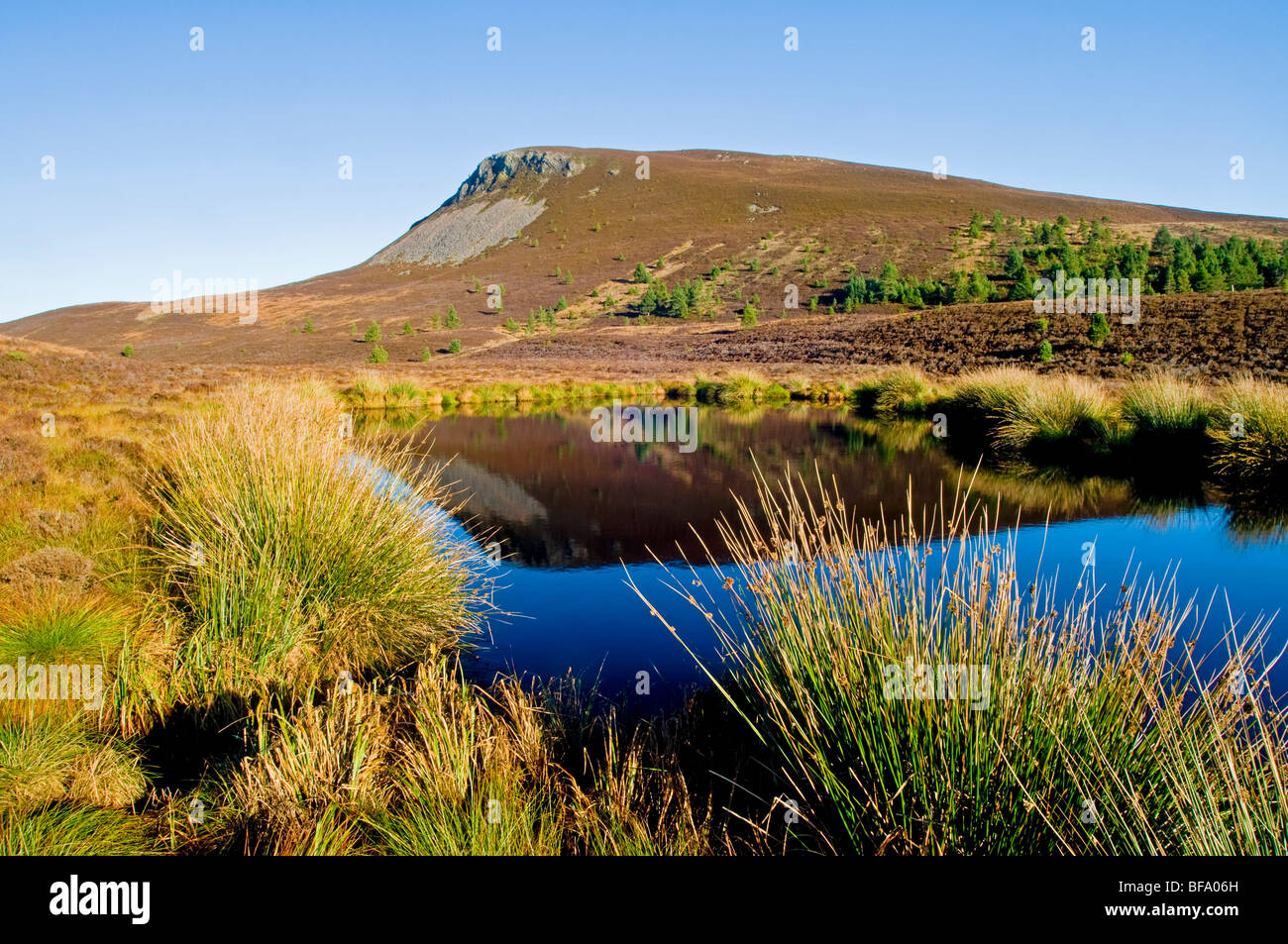 Dava way trail hi-res stock photography and images - Alamy
