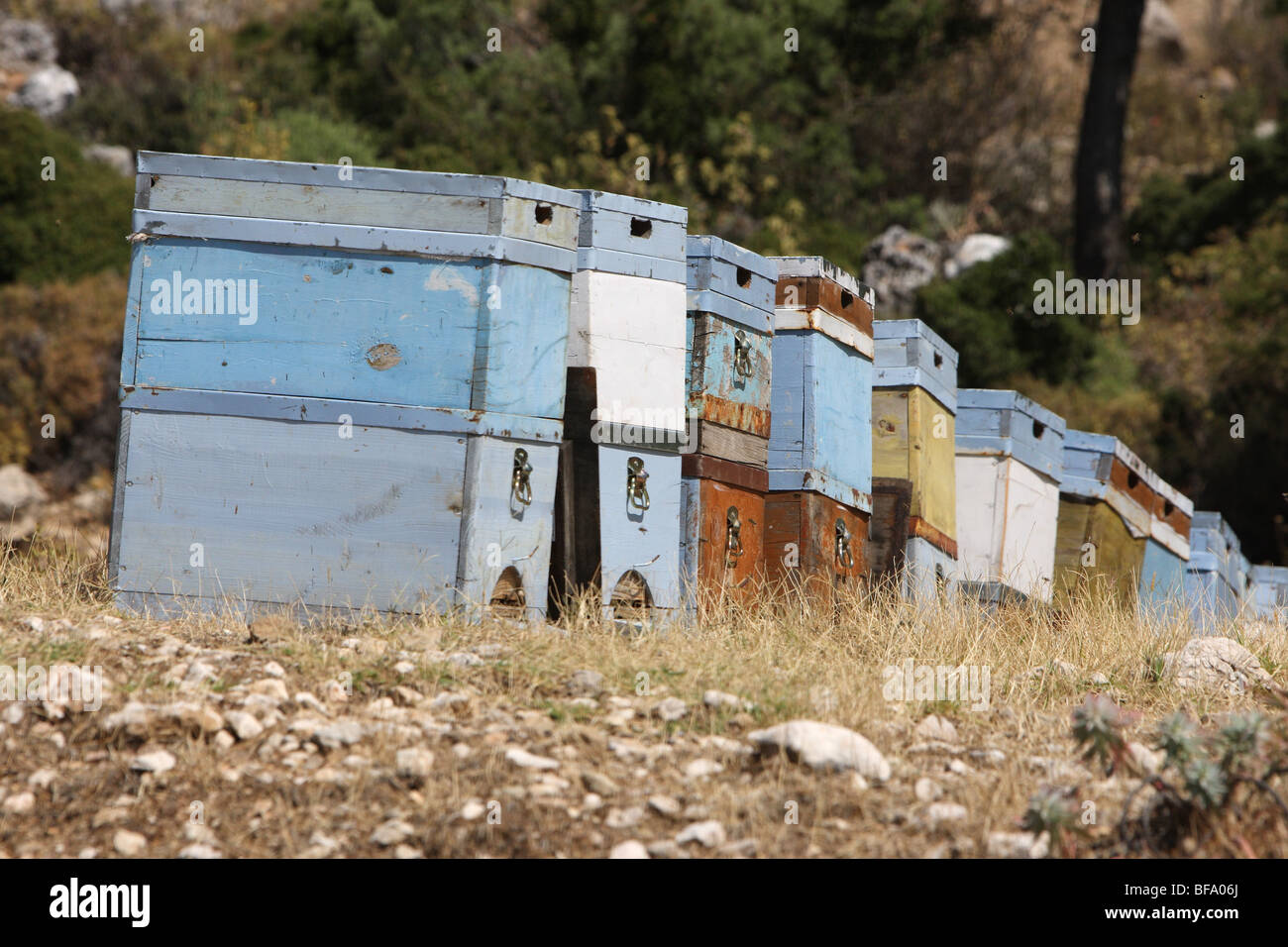 Turkey beekeeping hi-res stock photography and images - Alamy