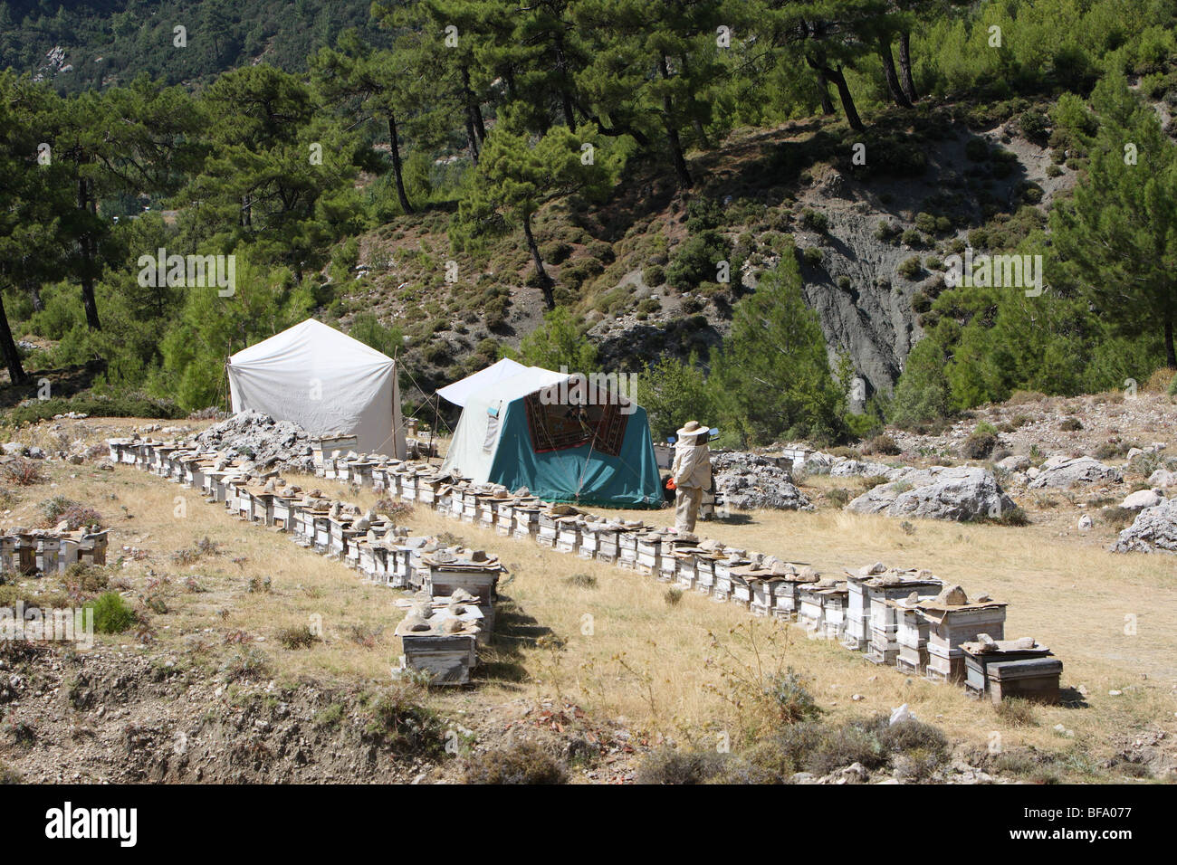 Beekeeper and bee hives in the hills of Turkey Stock Photo - Alamy