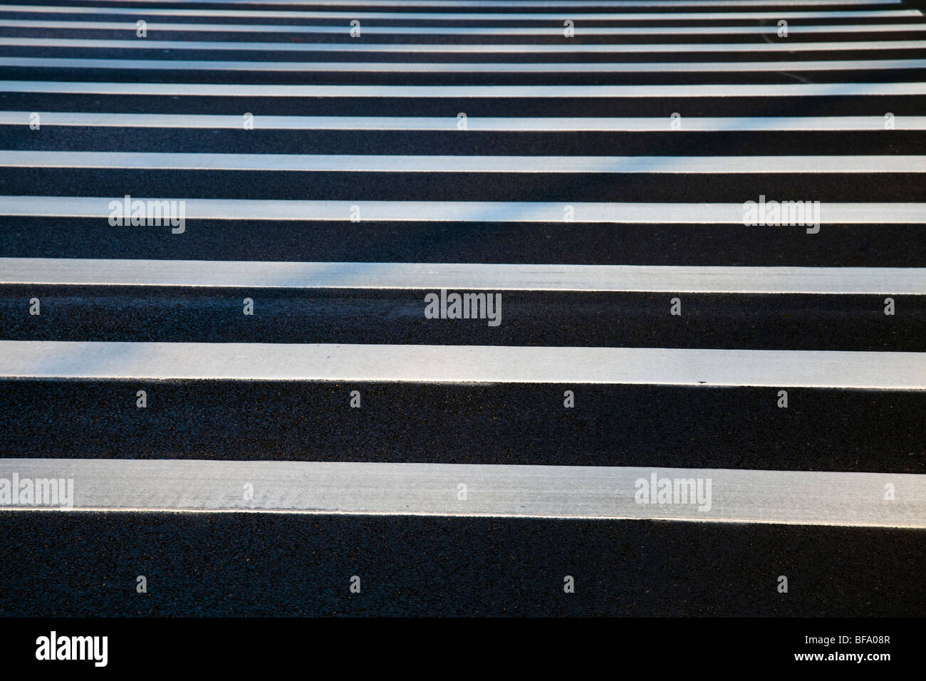 Zebra on the street Stock Photo - Alamy