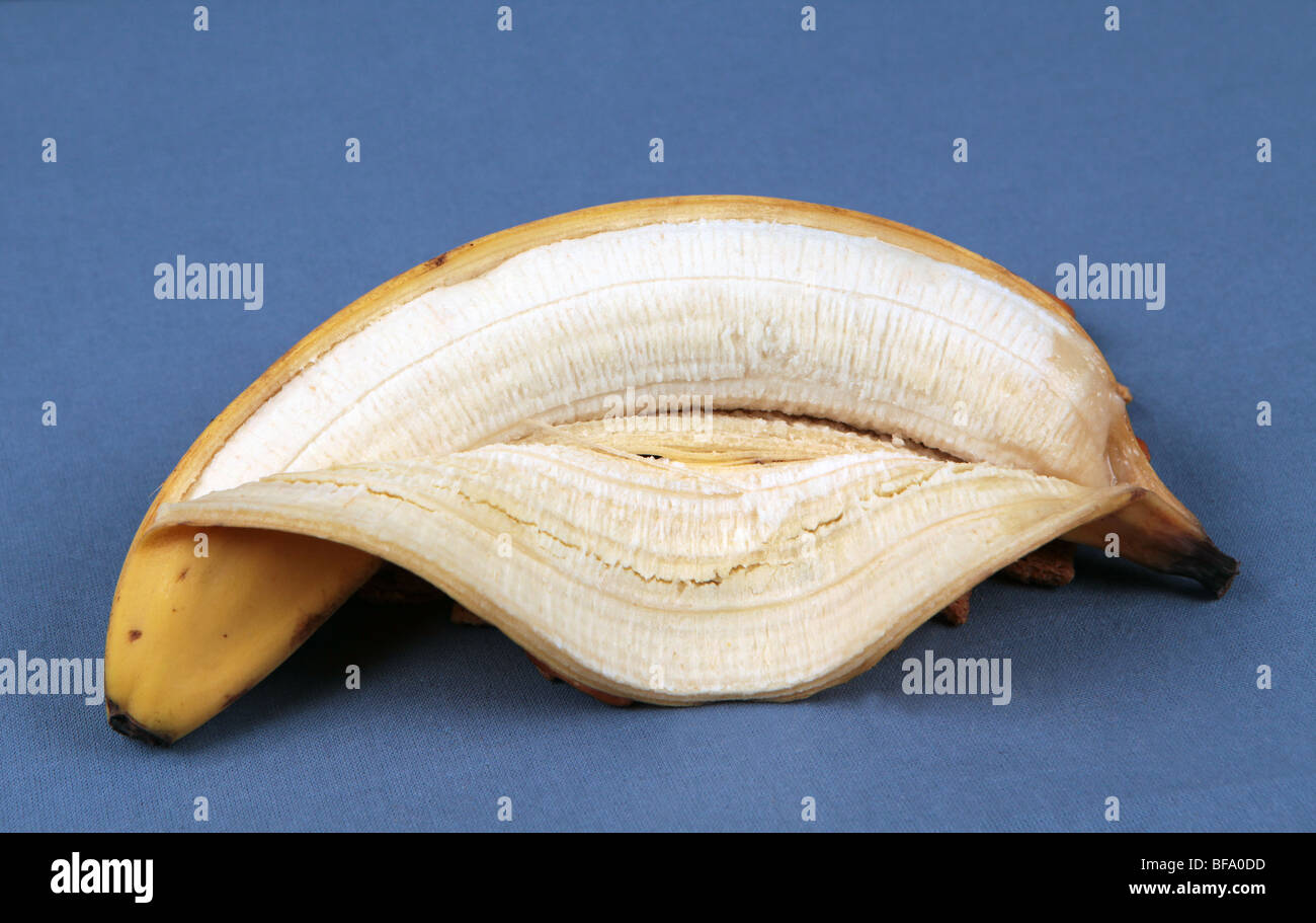 A ripe banana skinned back and the inner fruit exposed Stock Photo - Alamy