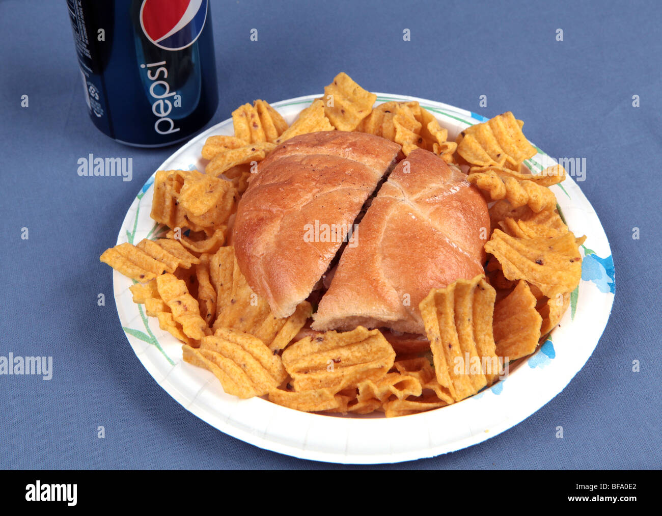 A chicken sandwich on a paper plate smothered with lettuce tomato onion ...