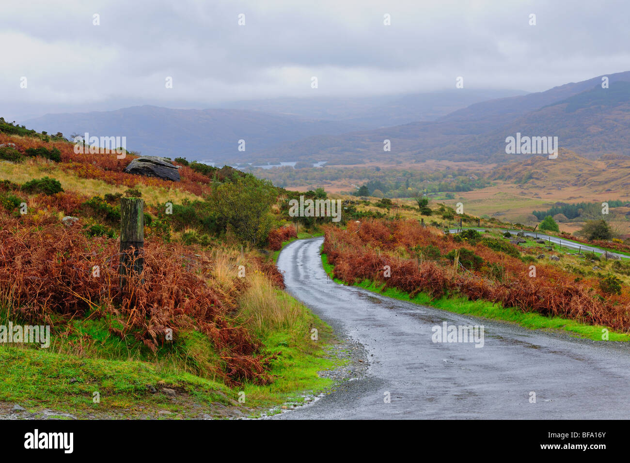 roadway through The Black Valley, Co.Kerry, Ireland with mist and rain ...