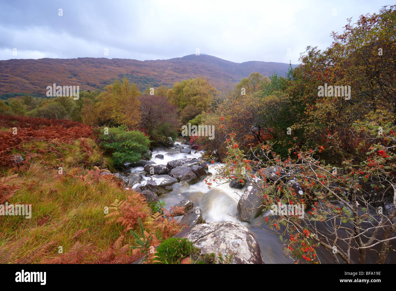 Kerry colours hi-res stock photography and images - Alamy