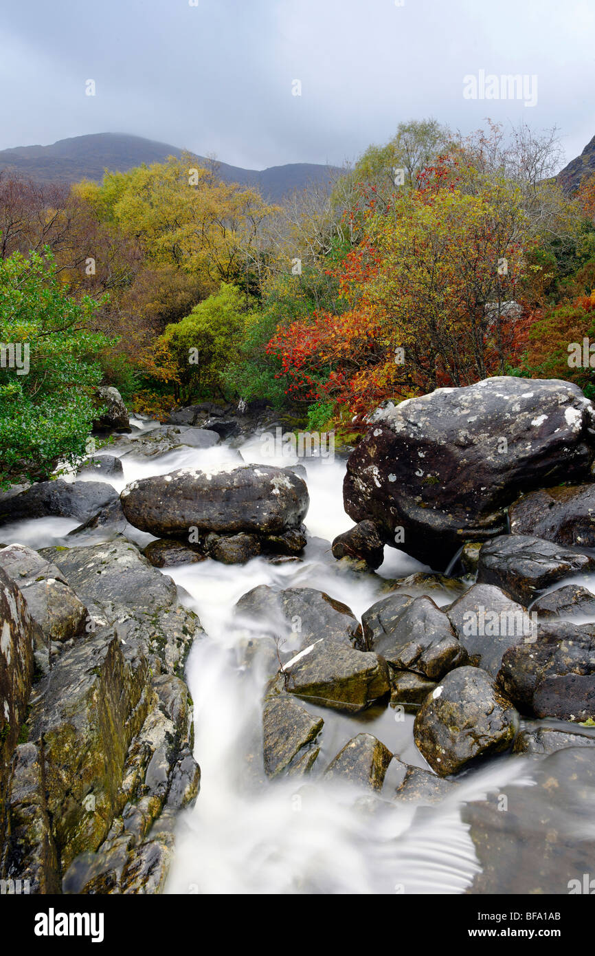Kerry colours hi-res stock photography and images - Alamy