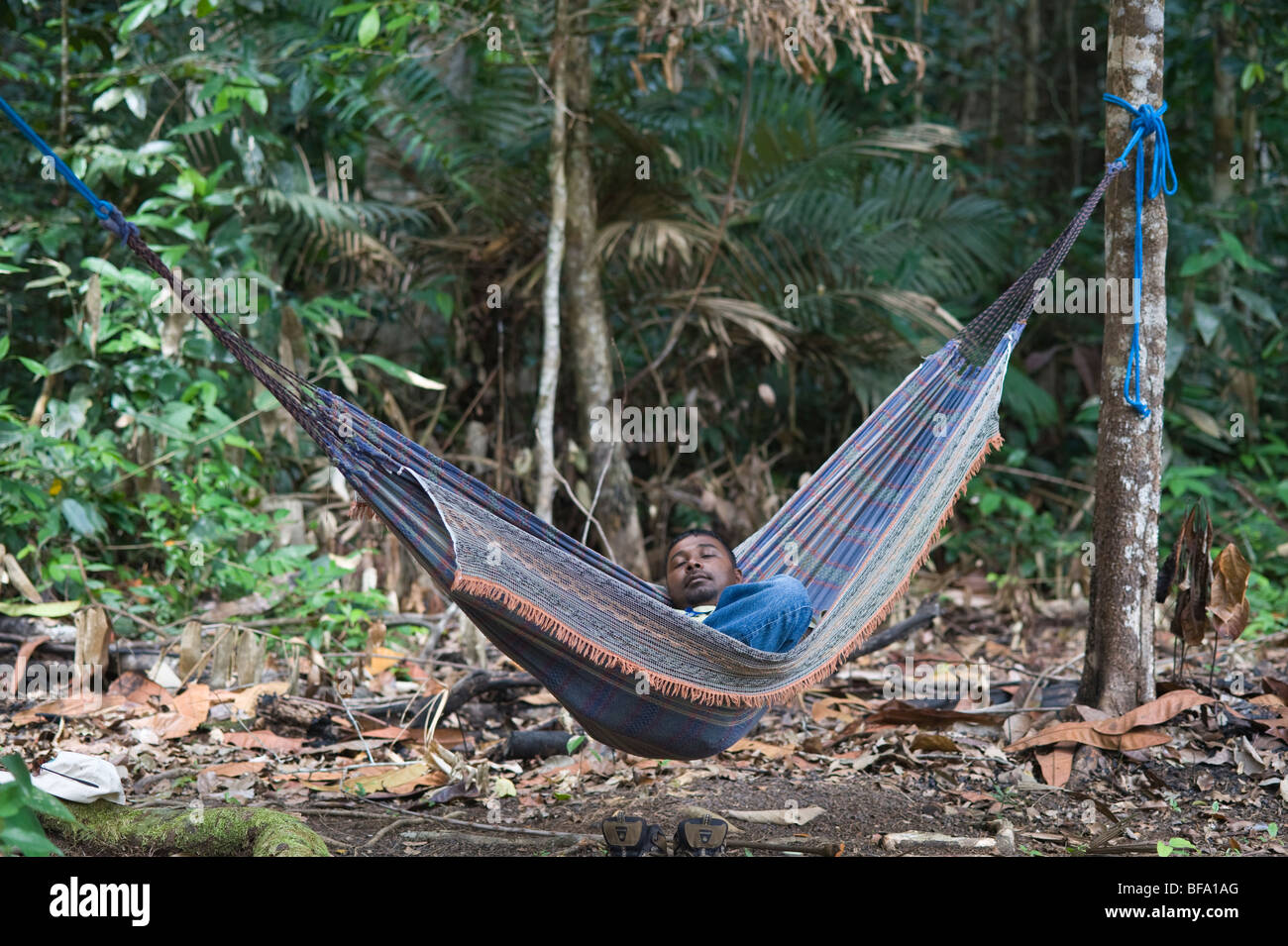 Man resting in hammock (atta) near Atta lodge Iwokrama Rainforest ...