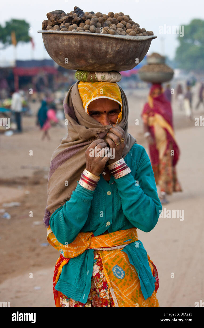 Rajput girl carrying camel dung for biofuel at the Camel Fair in ...