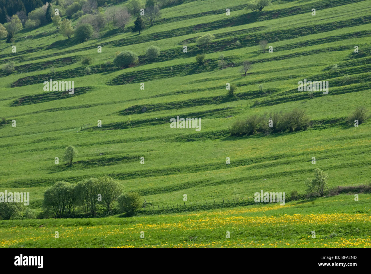 Alpine meadows near Grenoble, France Stock Photo - Alamy