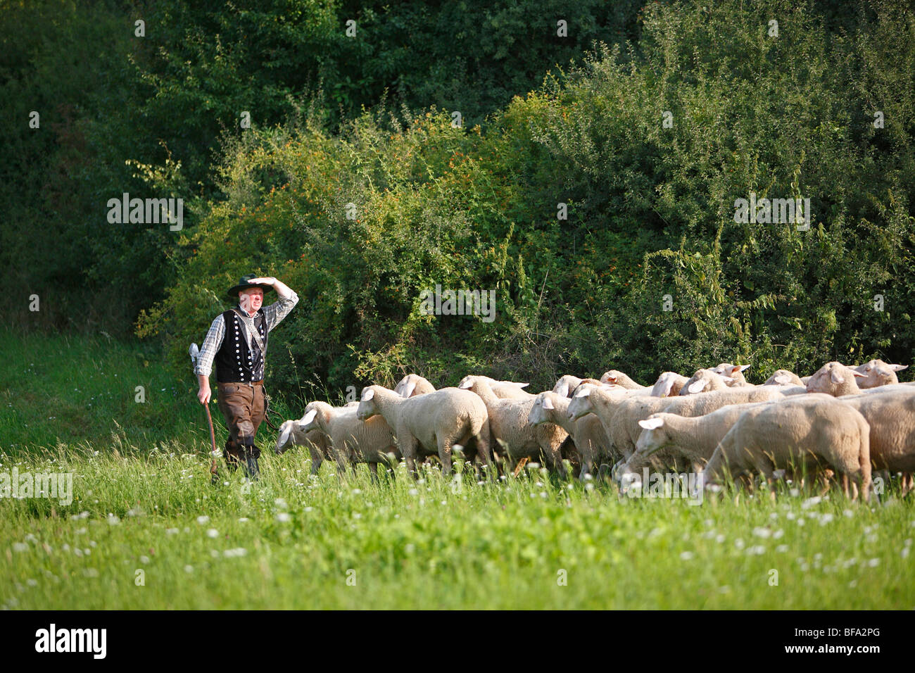 Elderly shepherd hi-res stock photography and images - Alamy