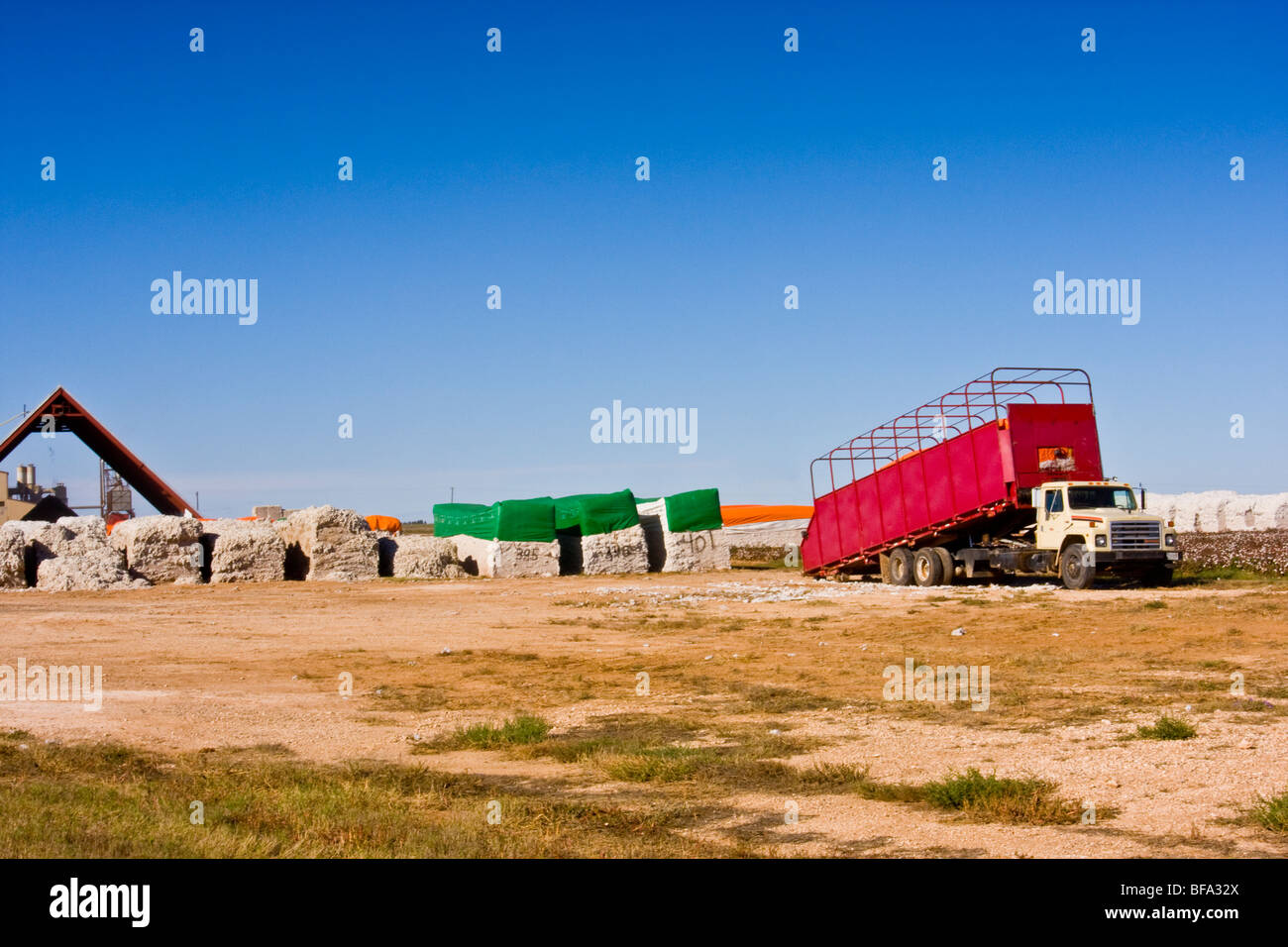 Cotton modules with multcolored tarp is moved with a module truck to ...