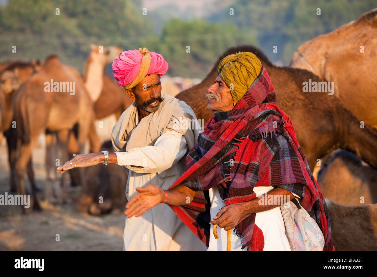 Rajput men talking at the Camel Fair in Pushkar India Stock Photo - Alamy