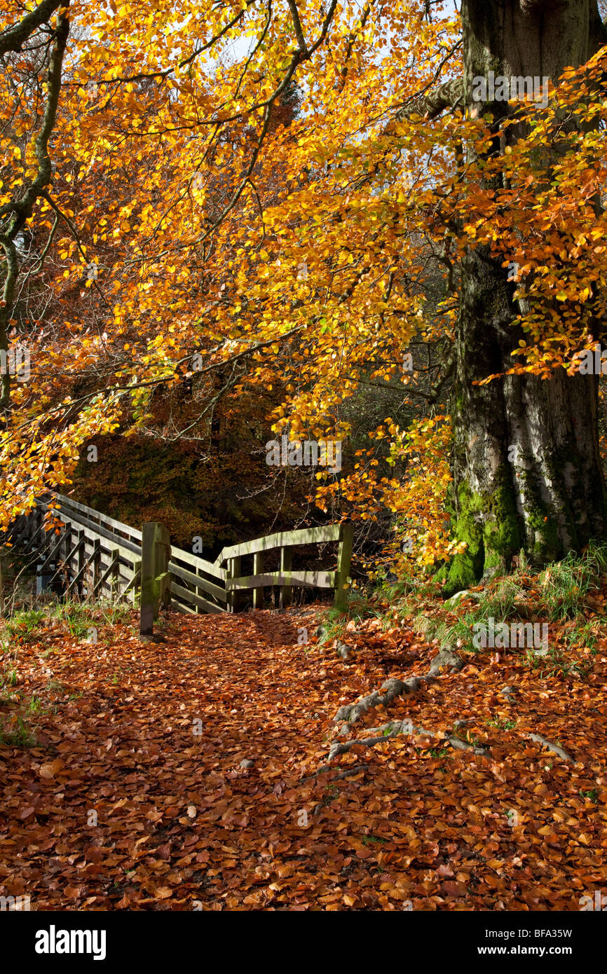Scotland fall colors hi-res stock photography and images - Alamy