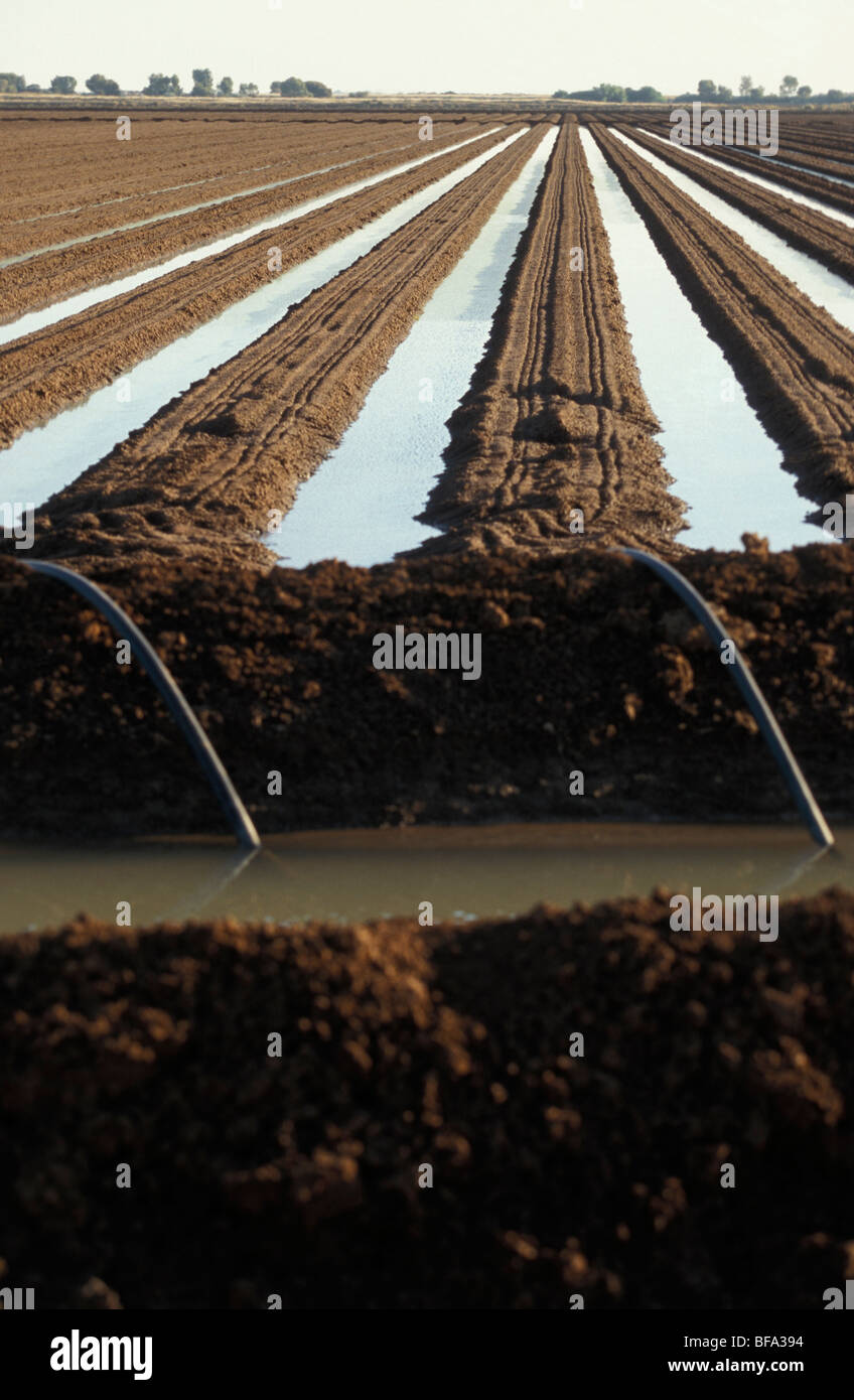 Water irrigation australia hi-res stock photography and images - Alamy