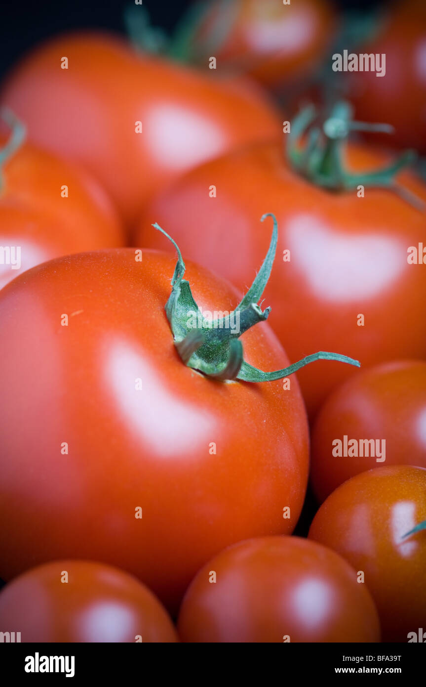 Tomato not ripe hi-res stock photography and images - Alamy