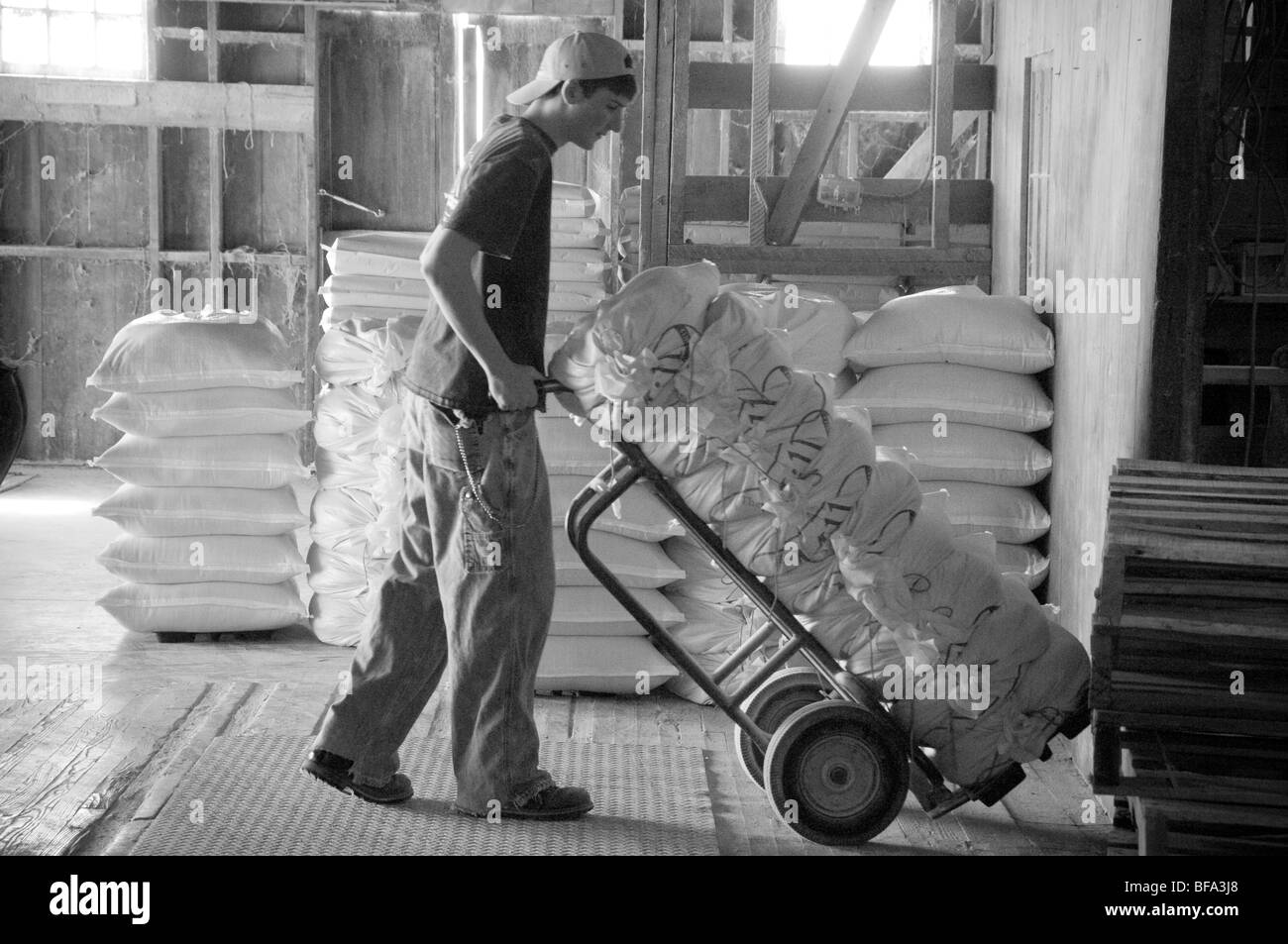 Worker in feed mill Stock Photo - Alamy