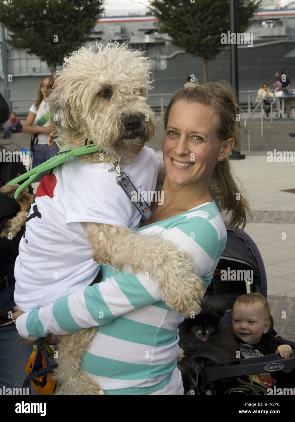 Dog parade hi-res stock photography and images - Alamy