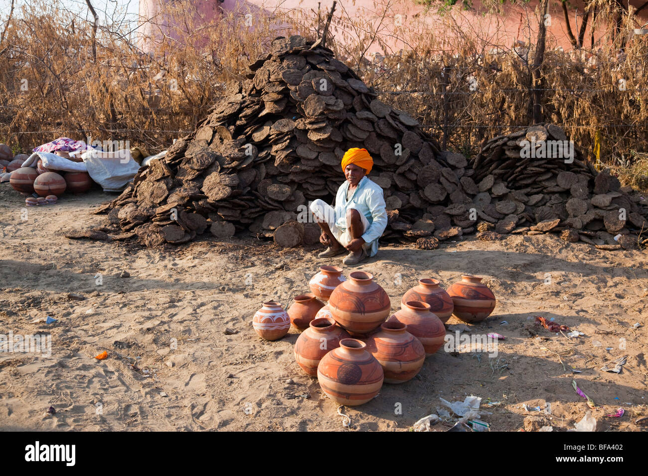 Camel dung as biofuel at the Camel Fair in Pushkar India Stock Photo ...