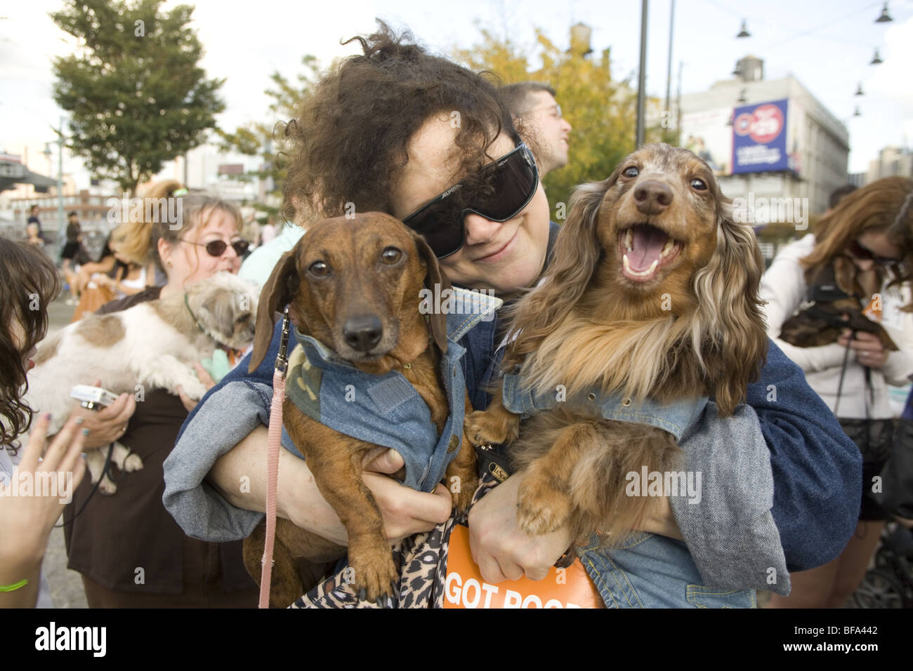 Dog parade hi-res stock photography and images - Alamy