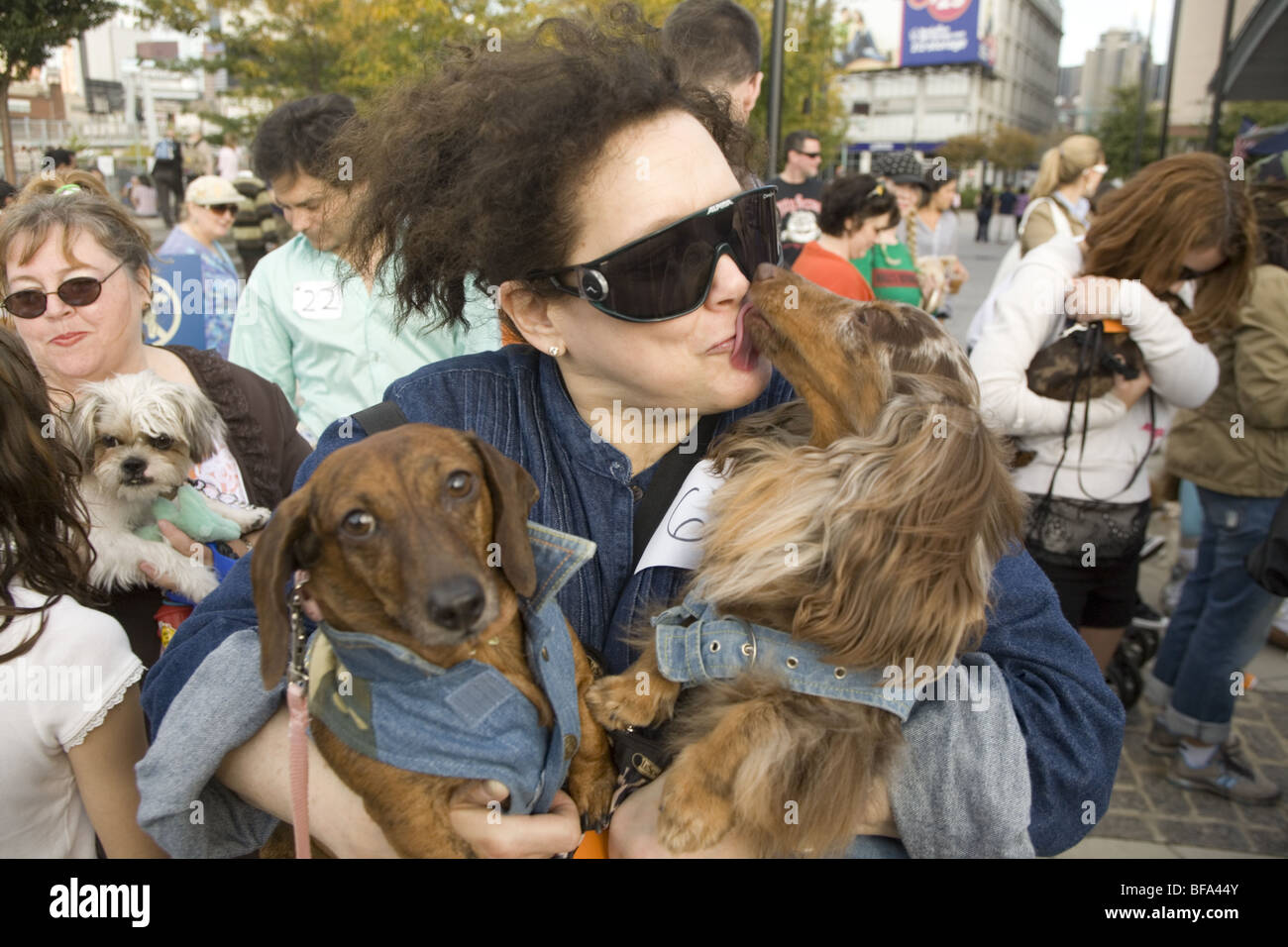 Dog parade hi-res stock photography and images - Alamy