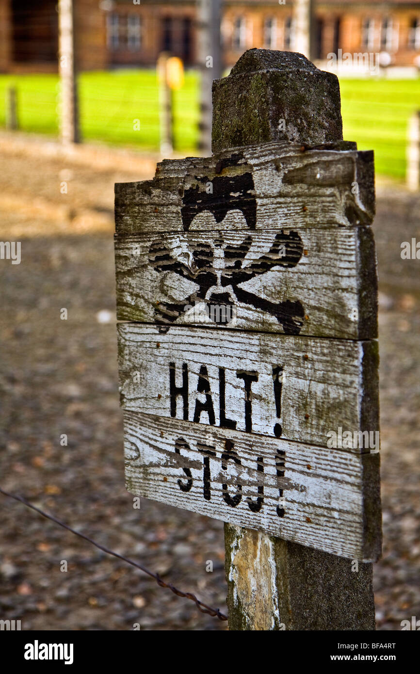 Nazi death skull hi-res stock photography and images - Alamy