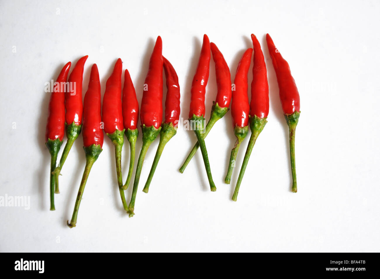 Red Hot Chili Pepper Stock Photo - Alamy