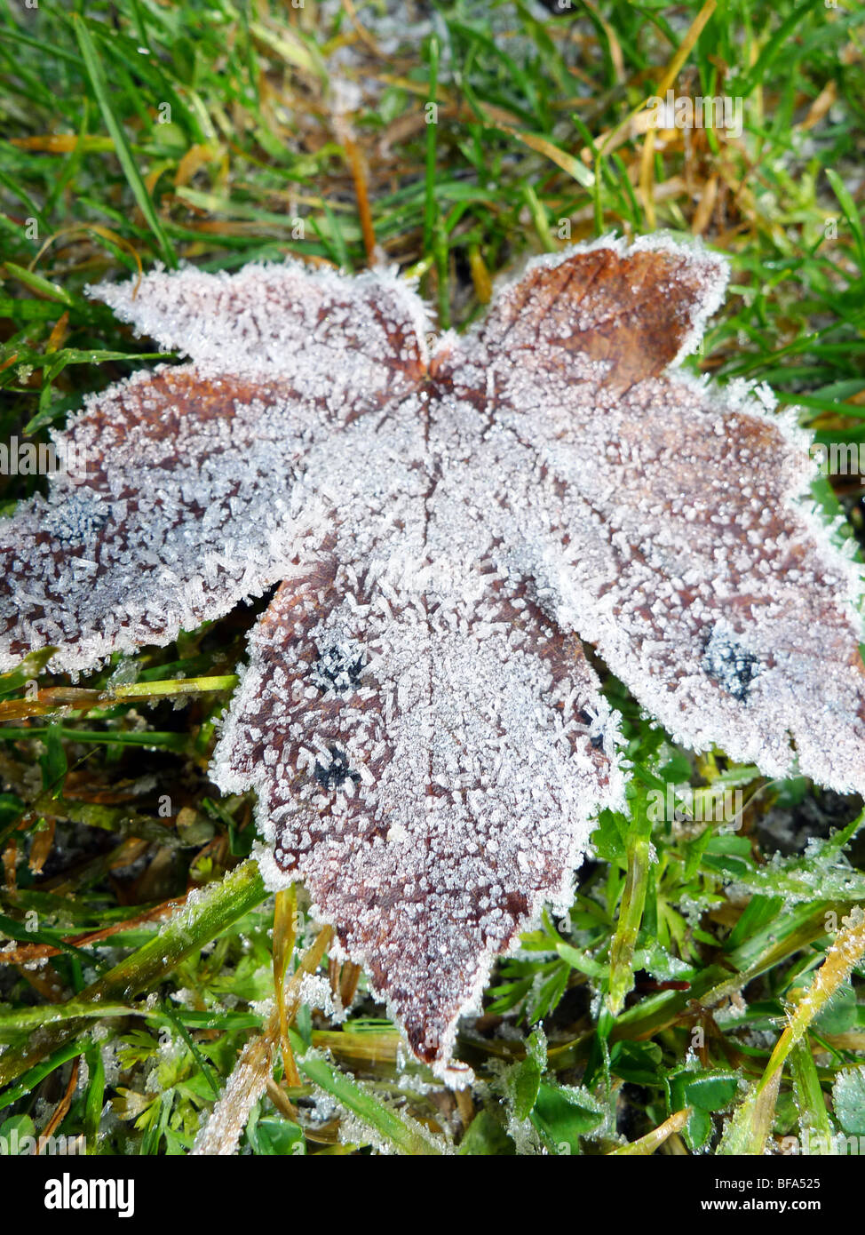 Below ground temperature hi-res stock photography and images - Alamy