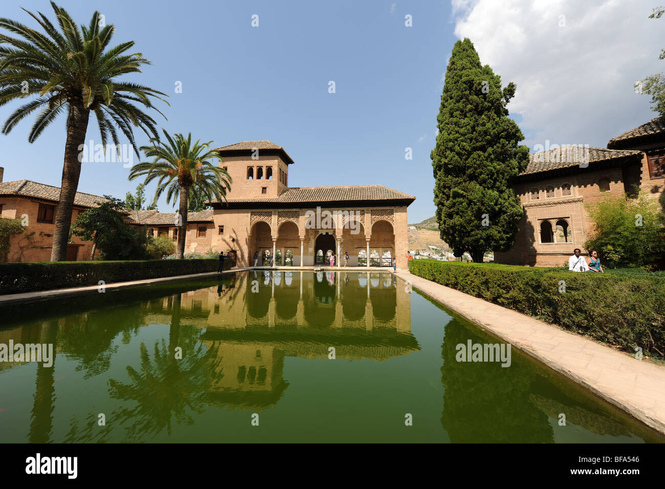 Damas tree hi-res stock photography and images - Alamy