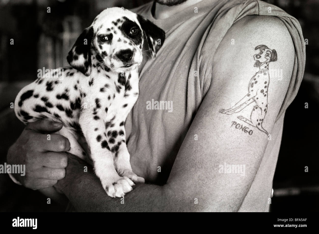 With his dog pongo hi-res stock photography and images - Alamy