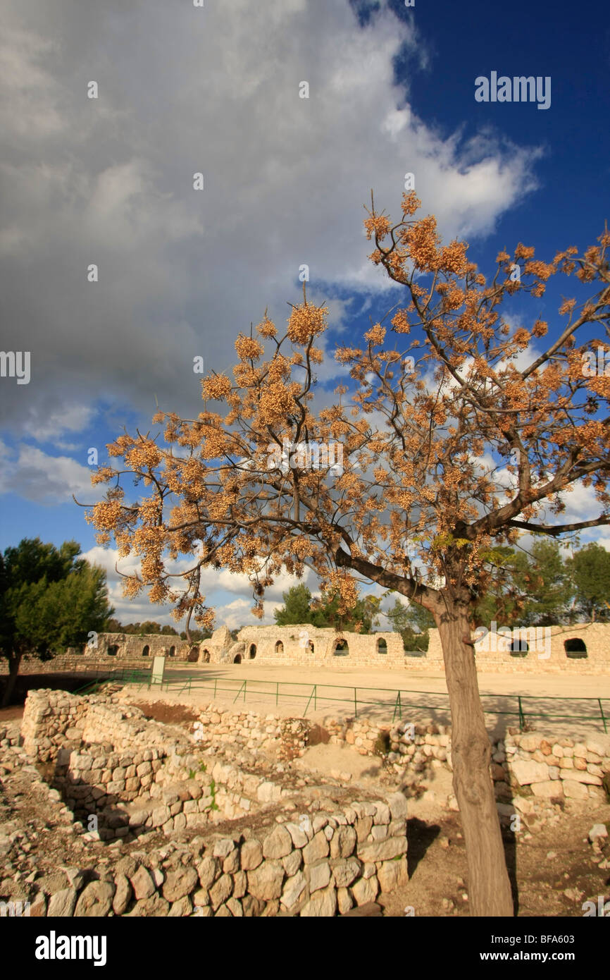 Israel, Sharon region. Ruins of the Egyptian fort on Tel Afek, built in ...