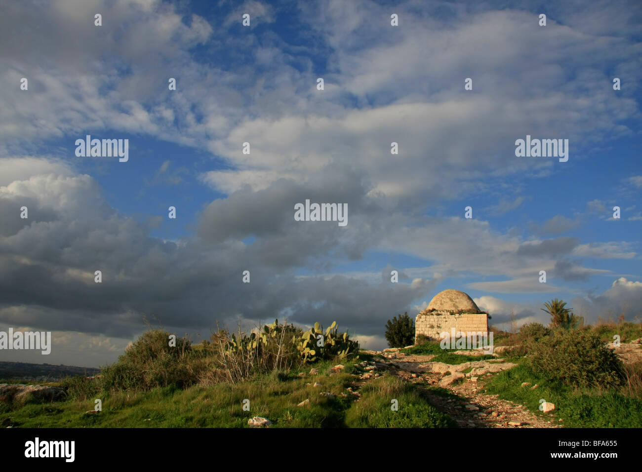 Hi209 308 hi-res stock photography and images - Alamy