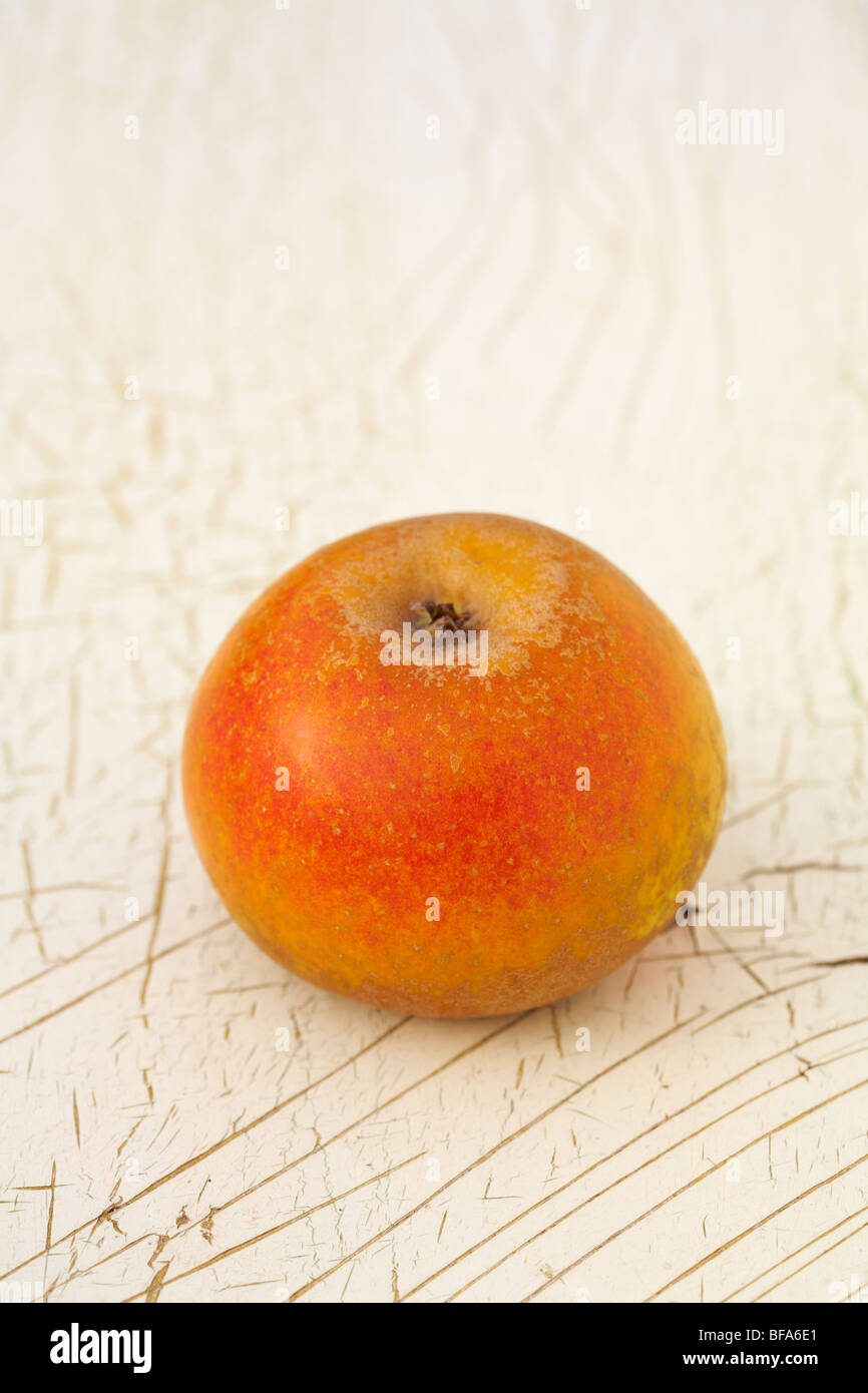 Organic Egremont Russet Desert Apple Malus Domestica Stock Photo - Alamy