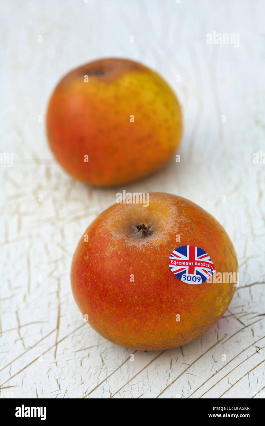Egremont Russet Desert Apple Variety Malus Domestica laying on old ...