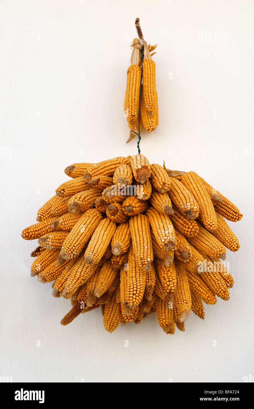 Corn drying outside a farm house at Morbish - am - see, Neusiedler See ...