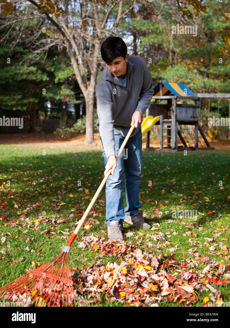 Teenage boy raking leaves Stock Photo - Alamy