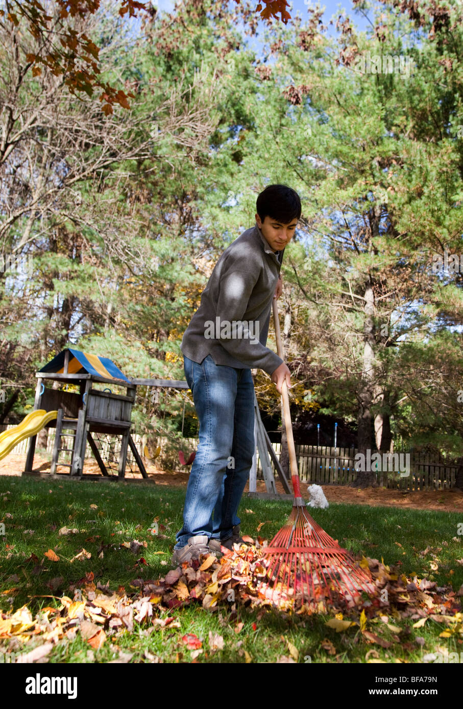Boy Raking Leaves High Resolution Stock Photography and Images - Alamy