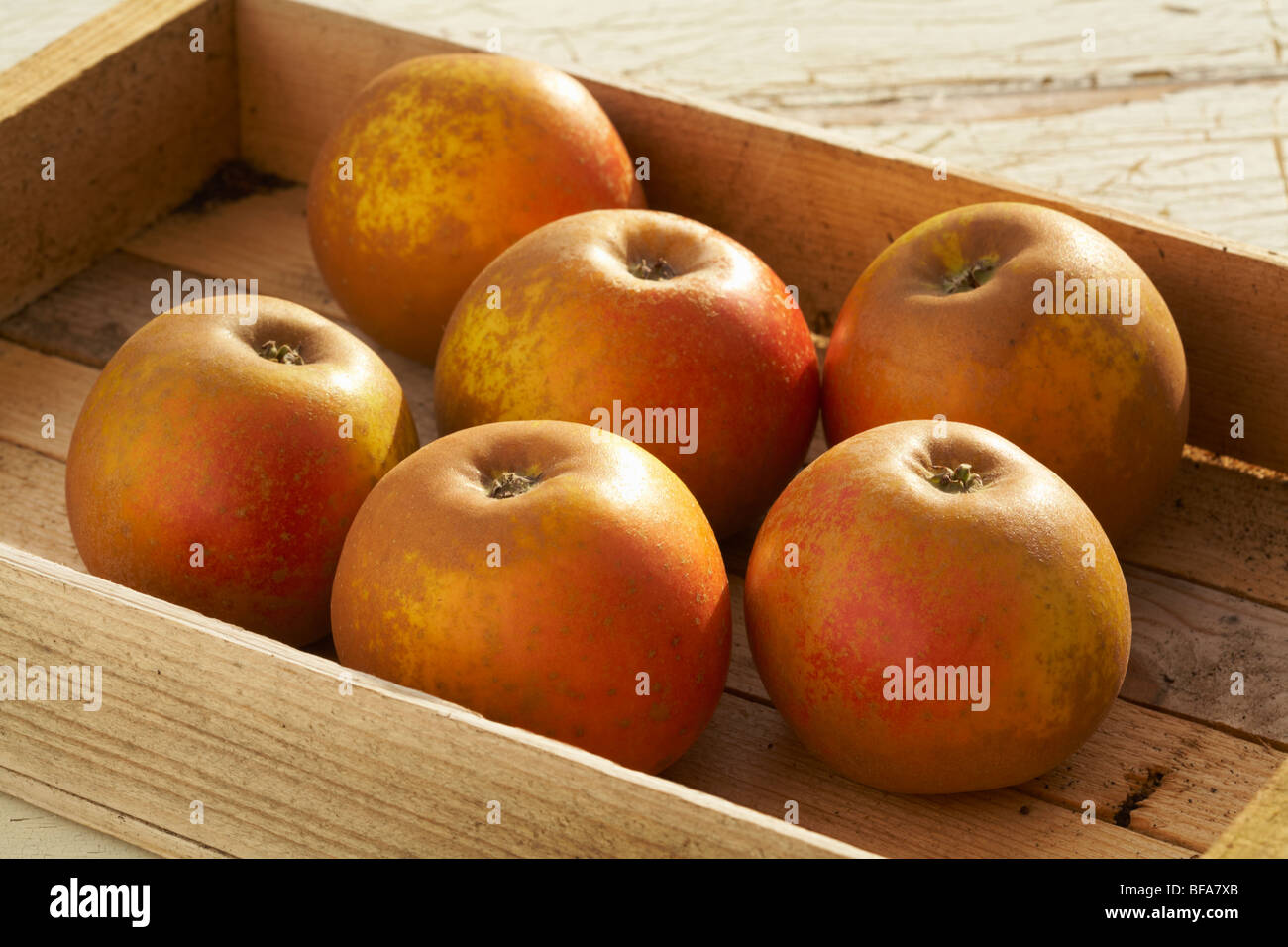 Egremont russet apple hi-res stock photography and images - Alamy