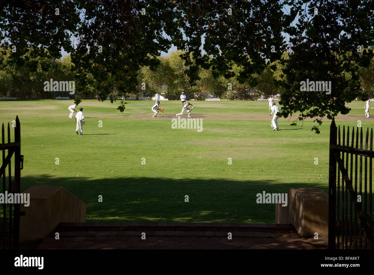 A local cricket game in the wine-growing region of Constantia, near ...