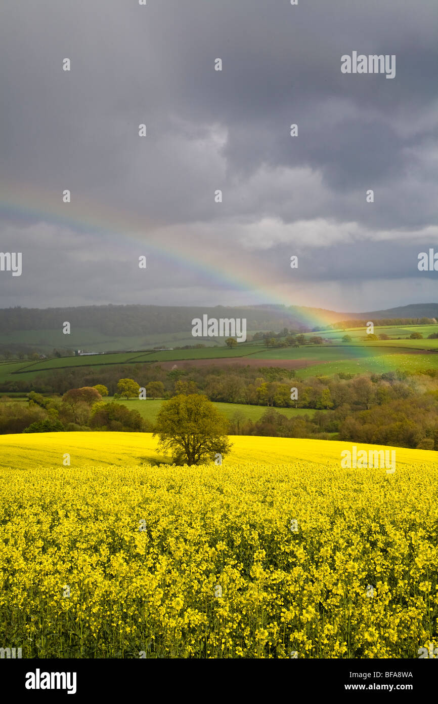 rainbow over fields Stock Photo - Alamy